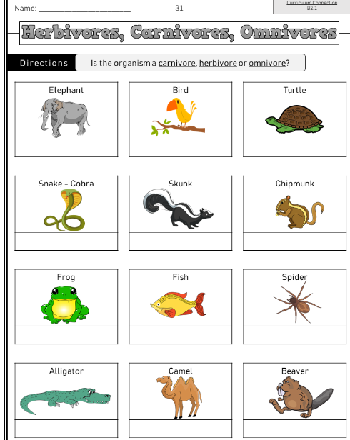 Herbivores Carnivores Omnivores Directions | StudyX
