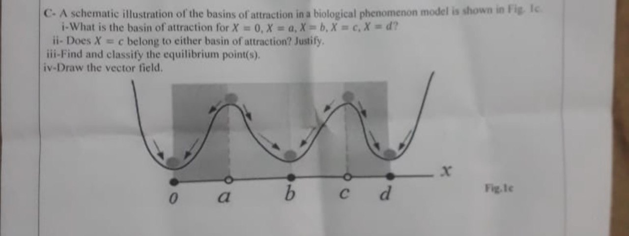 C A schematic illustration of the basins of | StudyX