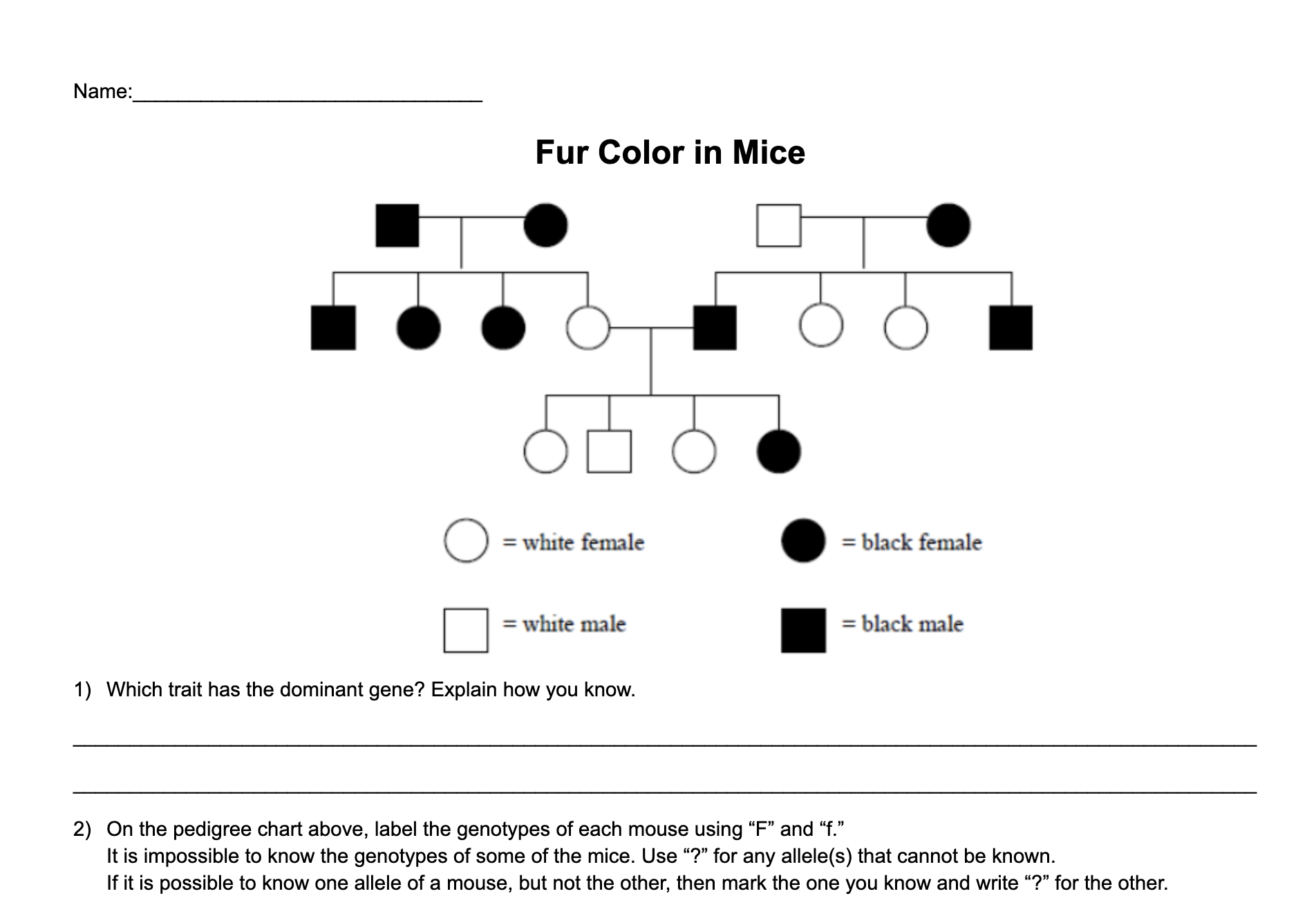 Fur Color in Mice 1) Which trait has the