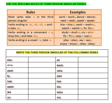 USE THE SPELLING RULES OF THIRD PERSON | StudyX