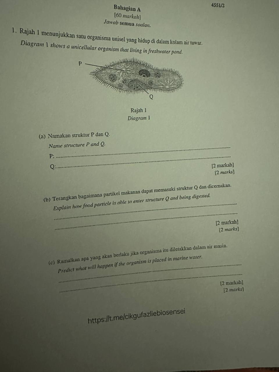 1. Rajah 1 menunjukkan satu organisma unisel | StudyX