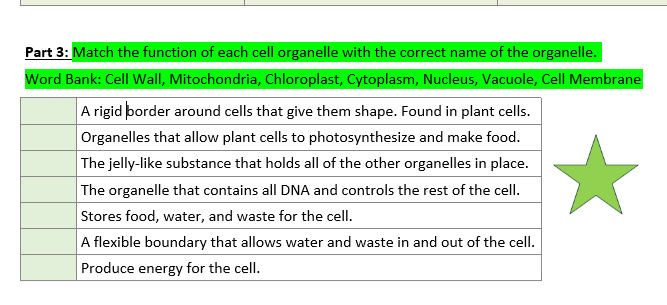 Part 3: Match the function of each cell | StudyX