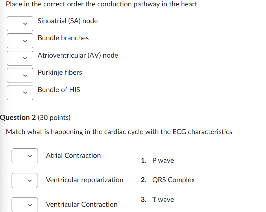 Place in the correct order the conduction | StudyX