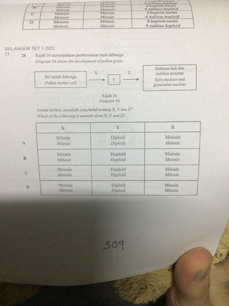 Rajah 16 menunjukkan pembentukan butir | StudyX