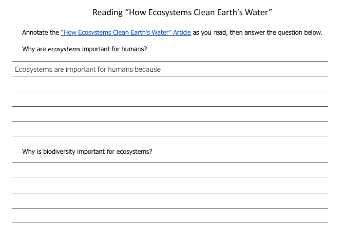 Why are ecosystems important for humans? | StudyX