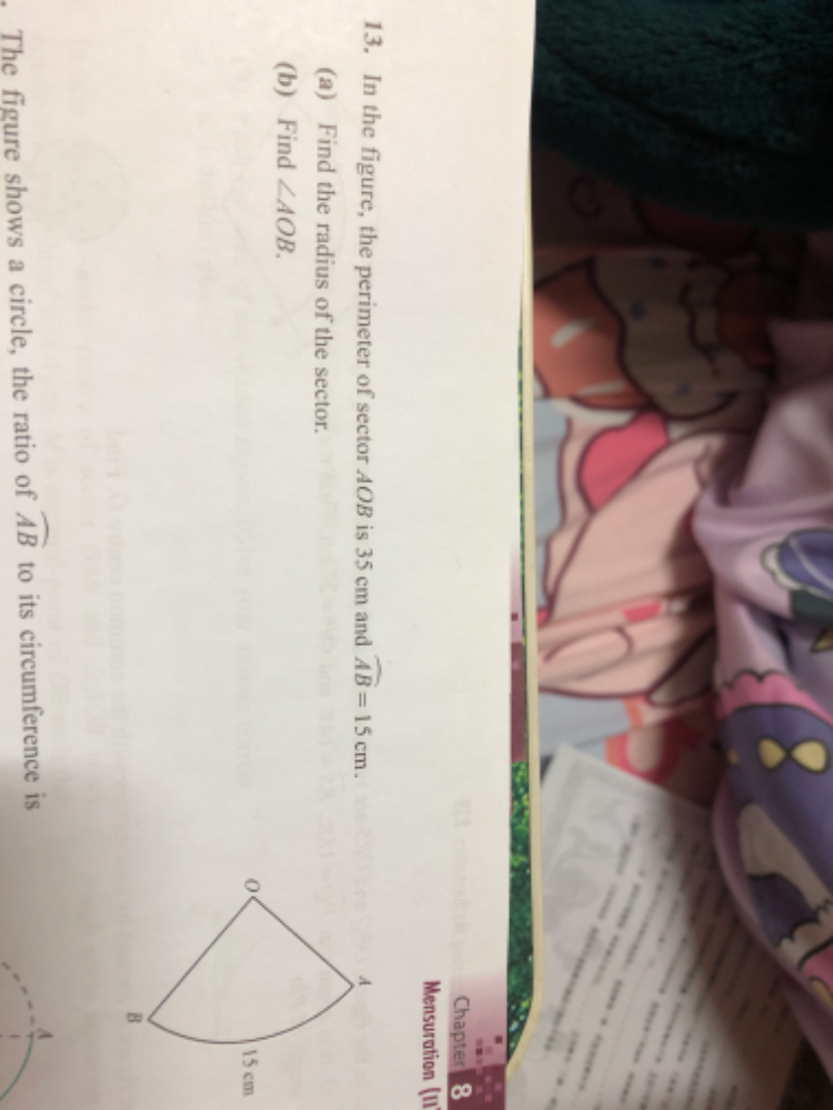 13. In the figure, the perimeter of sector | StudyX