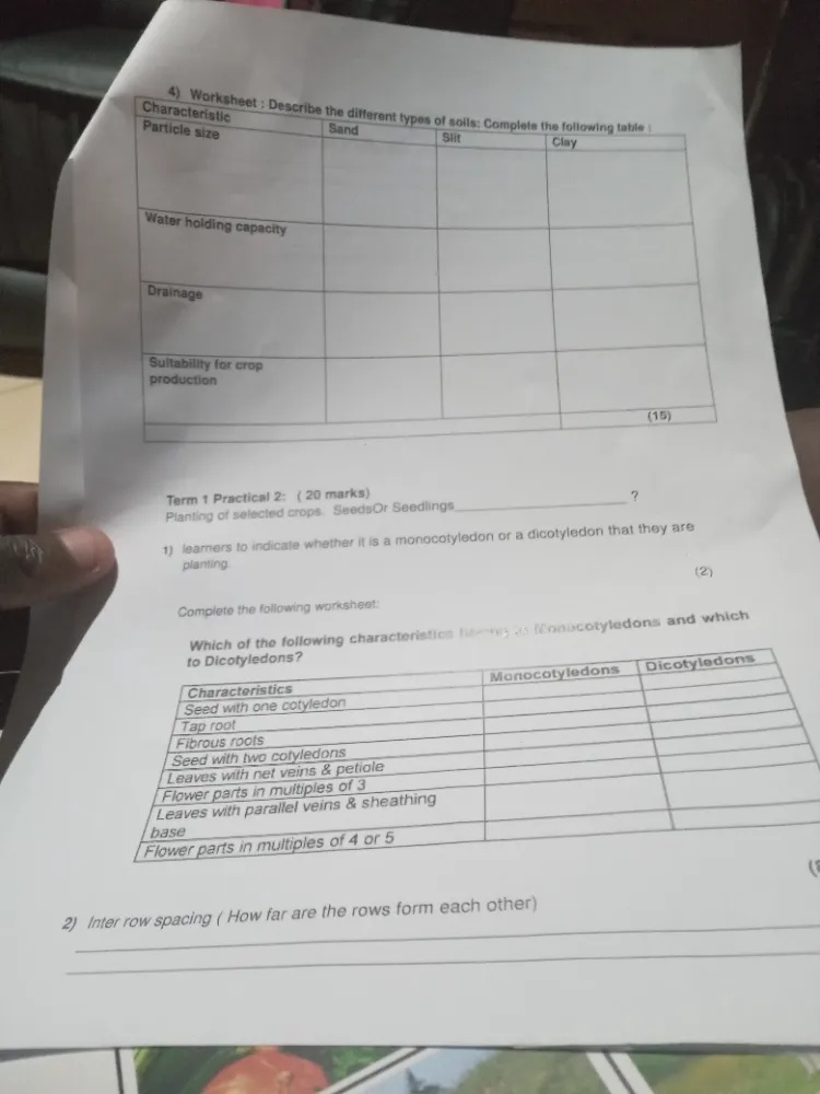 4) Worksheet: Describe the different types | StudyX