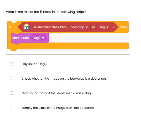 What is the role of the 'if block in the | StudyX