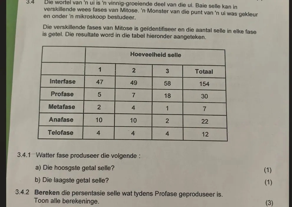 Die wortel van 'n ui is 'n vinnig-groeiende | StudyX