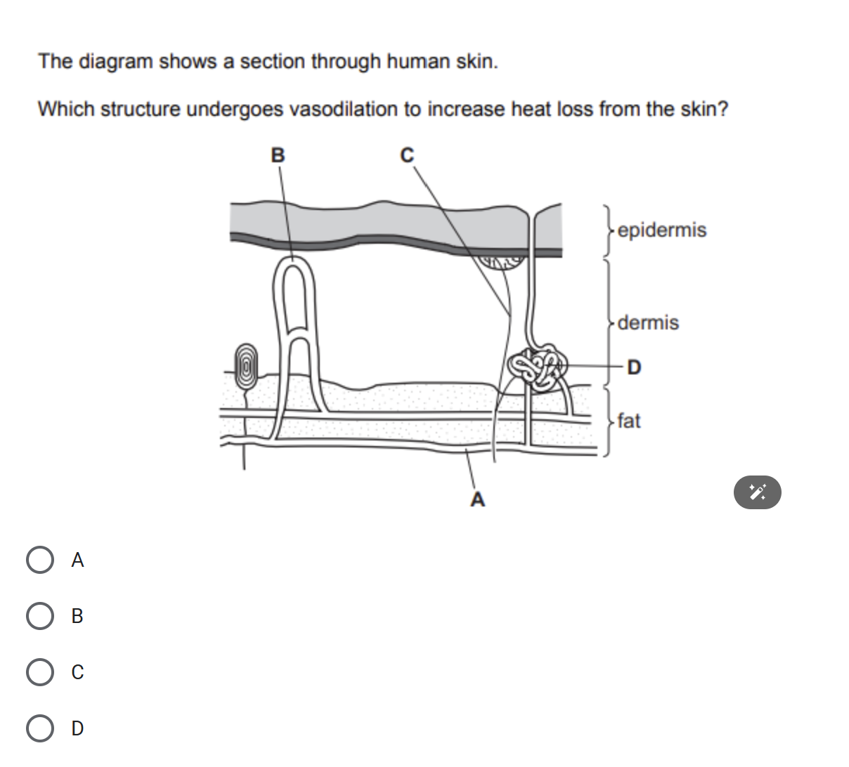 The diagram shows a section through human | StudyX