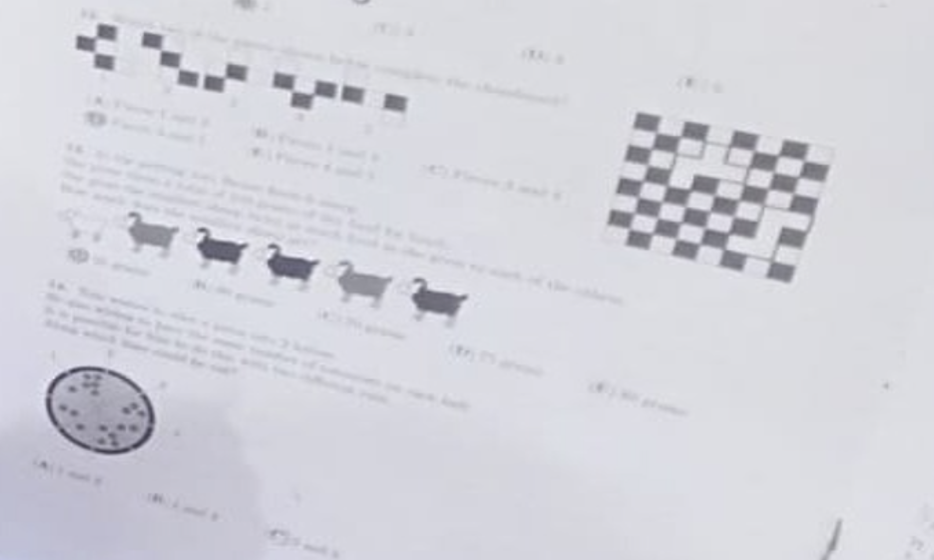 15. Which two of the patterns shown below | StudyX