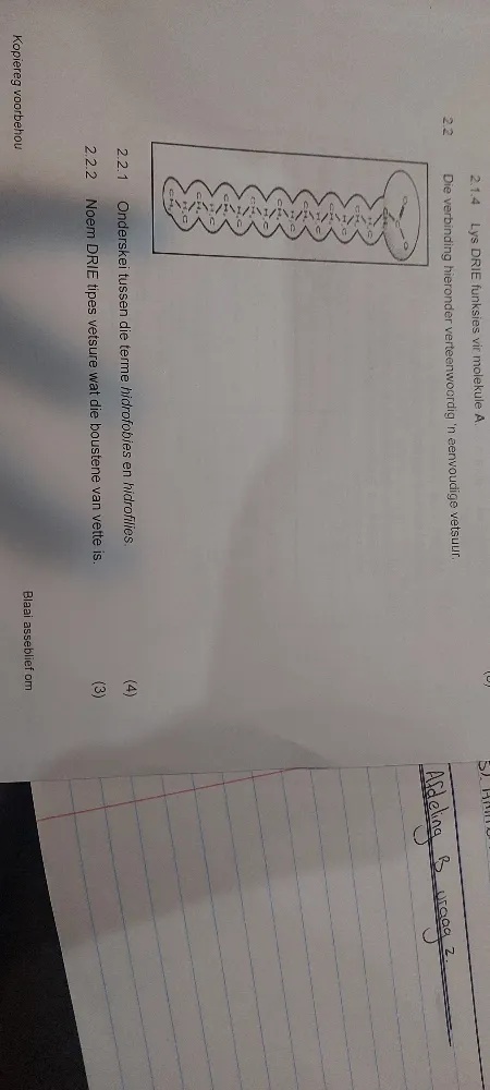 2.1.4 Lys DRIE funksies vir molekule A. Die | StudyX