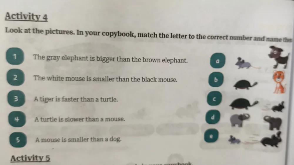 Look at the pictures. In your copybook, | StudyX