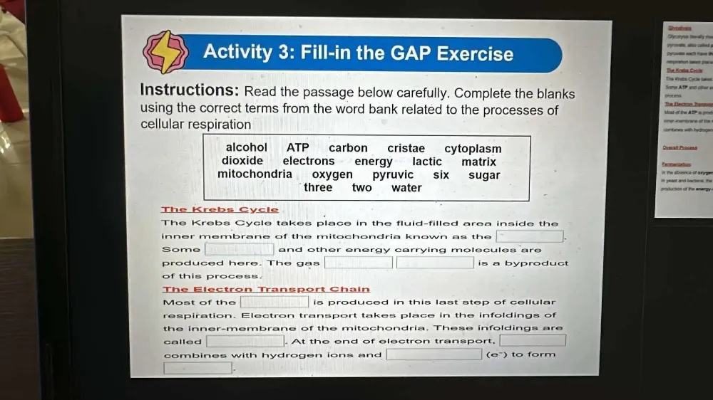 Activity 3: Fill-in the GAP Exercise | StudyX