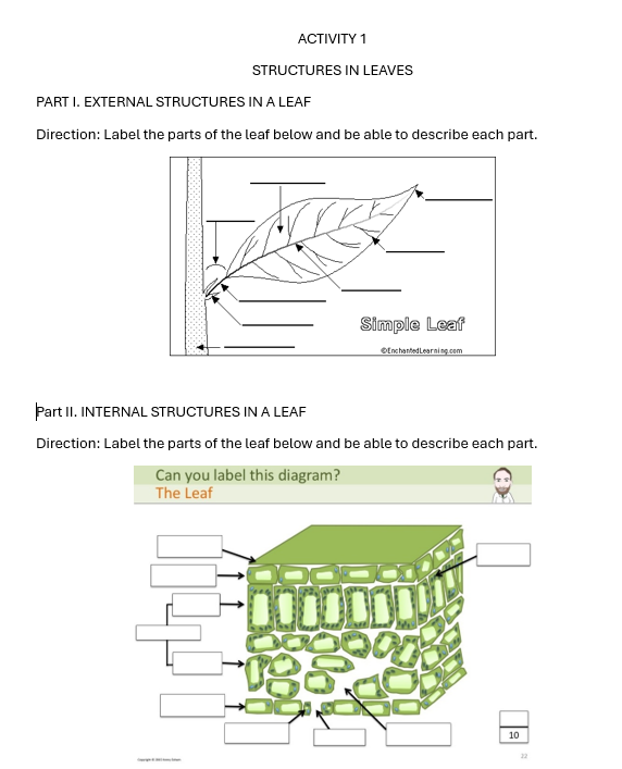 PART I. EXTERNAL STRUCTURES IN A LEAF | StudyX