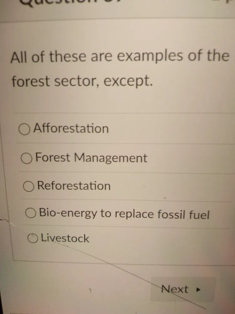 All of these are examples of the forest