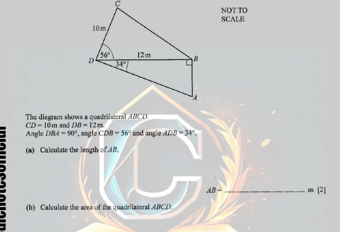 The diagram shows a quadrilateral ABCD. CD = | StudyX