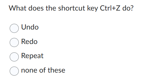 What does the shortcut key Ctrl+Z do? Undo | StudyX