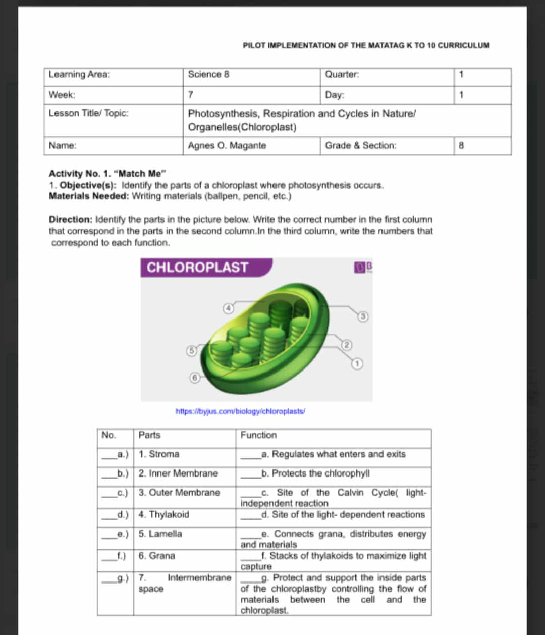 Activity No. 1. "Match Me" 1. Objective(s): | StudyX