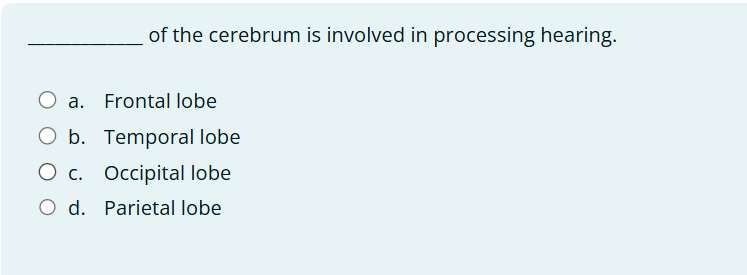 of the cerebrum is involved in | StudyX