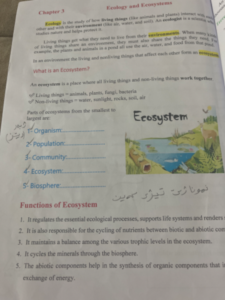Parts of ecosystems from the smallest to | StudyX