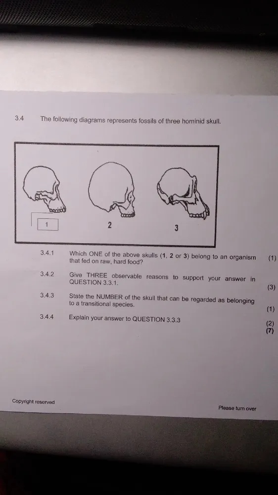 3.4 The following diagrams represents | StudyX