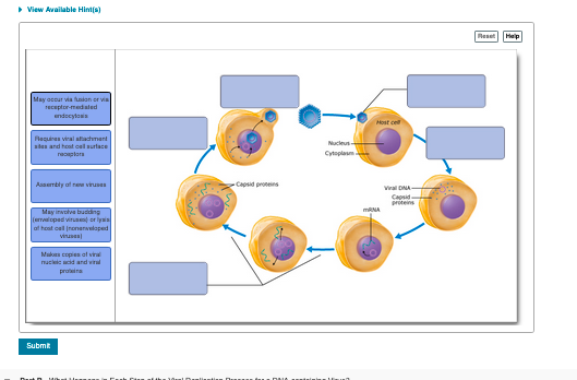 The image shows a diagram of the viral