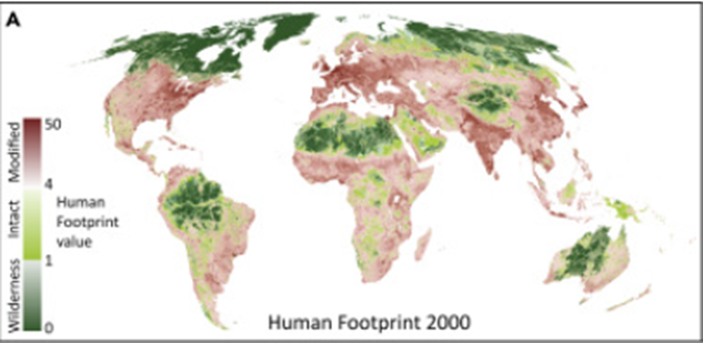 The images compare the human footprint in | StudyX