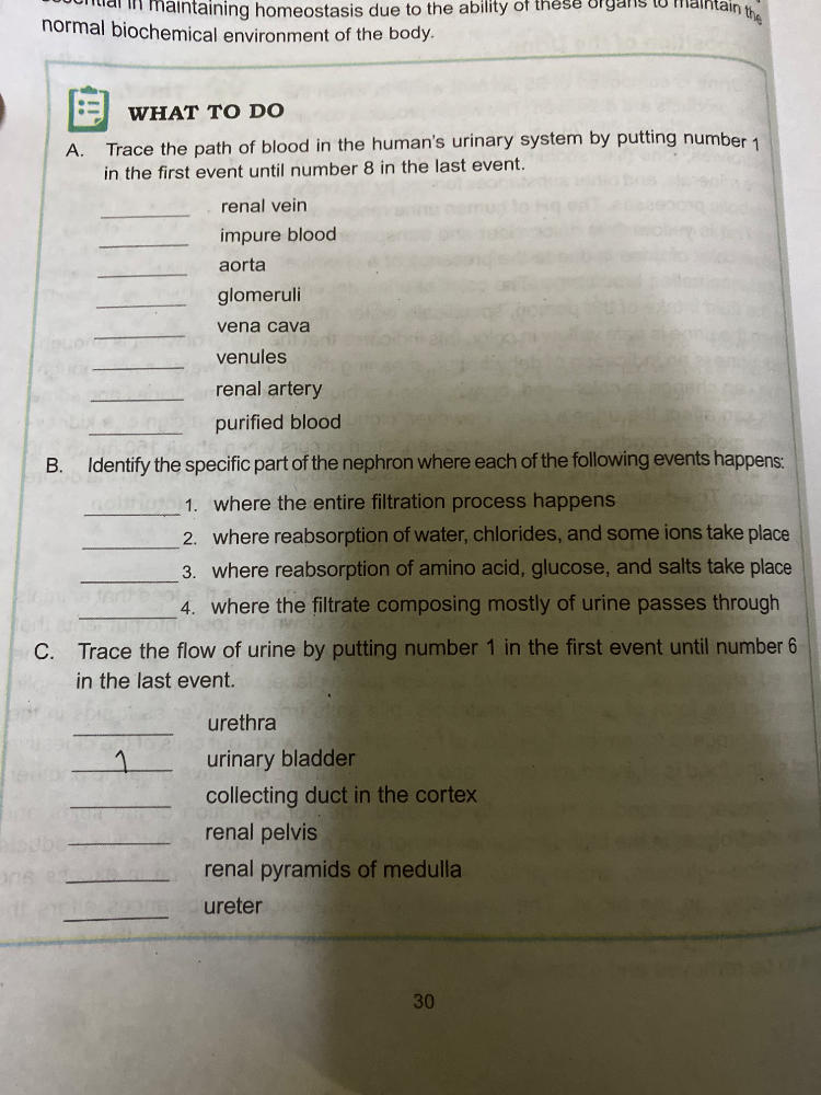 A. Trace the path of blood in the human's | StudyX