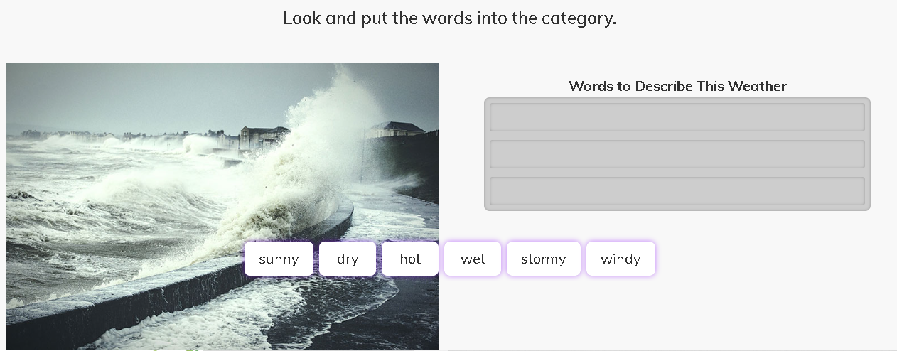 Look and put the words into the category. | StudyX
