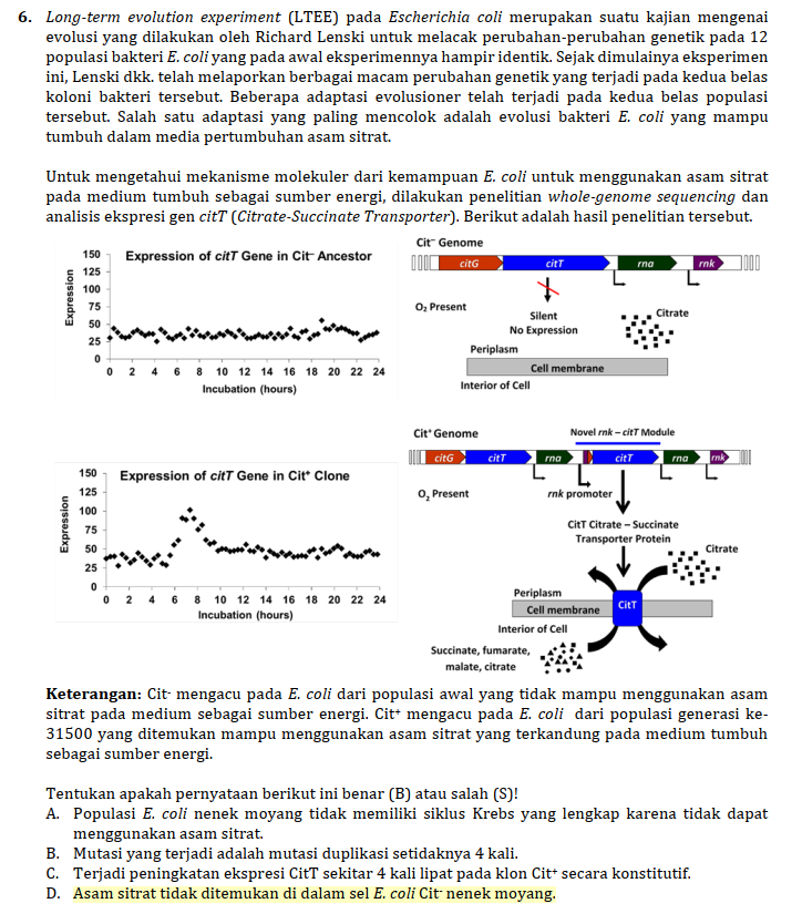 Long-term evolution experiment (LTEE) pada