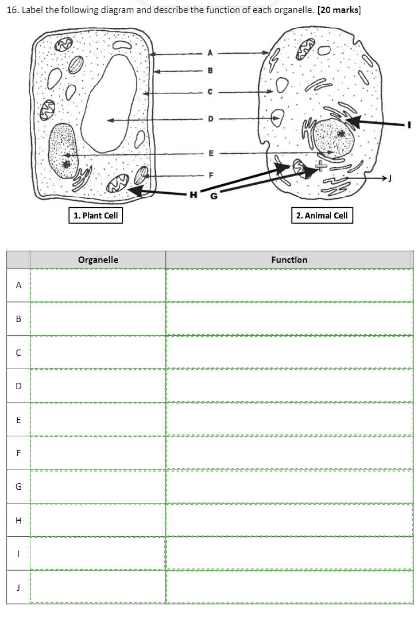 16. Label the following diagram and describe | StudyX