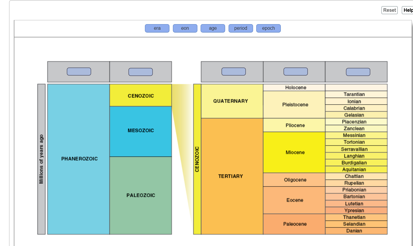 The image is a geological time scale | StudyX