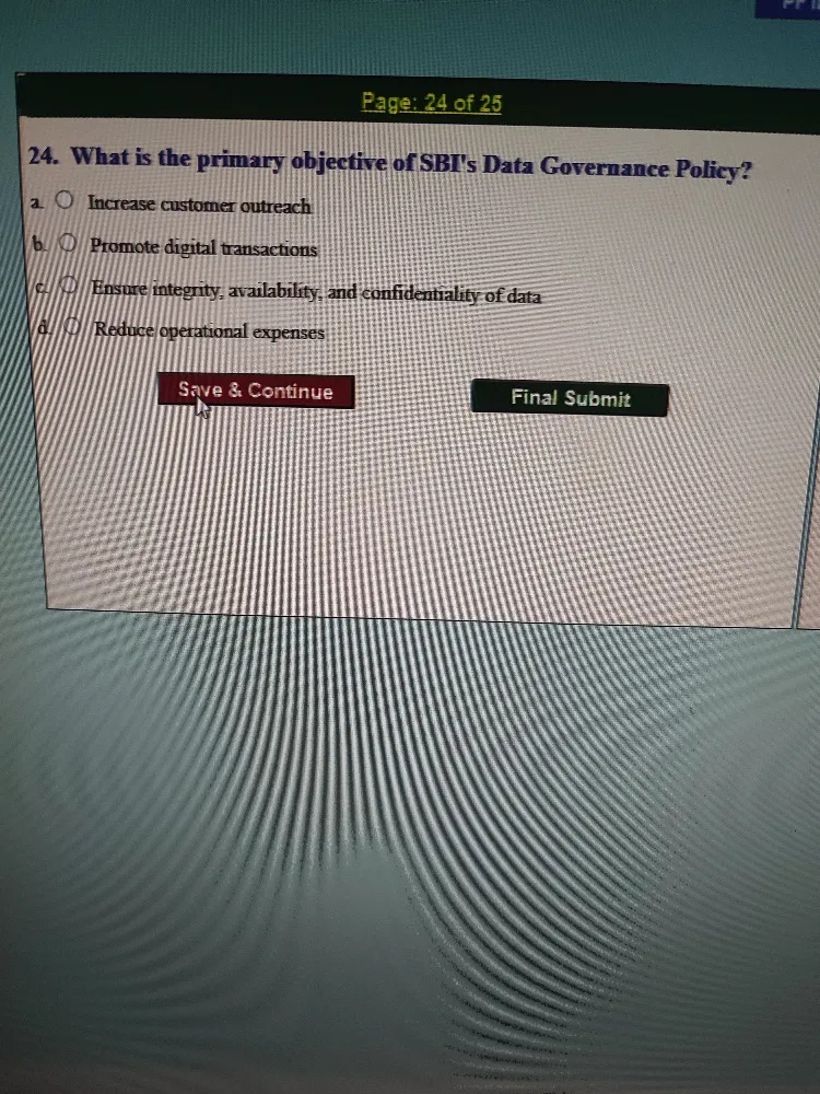 What is the primary objective of SBI's Data