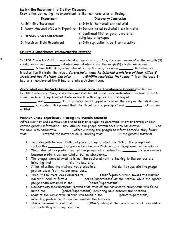 Match the Experiment to Its Key Discovery | StudyX