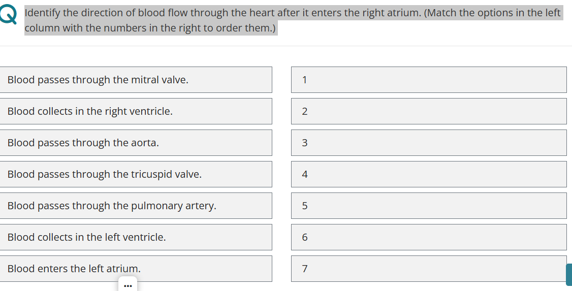 Identify the direction of blood flow through | StudyX
