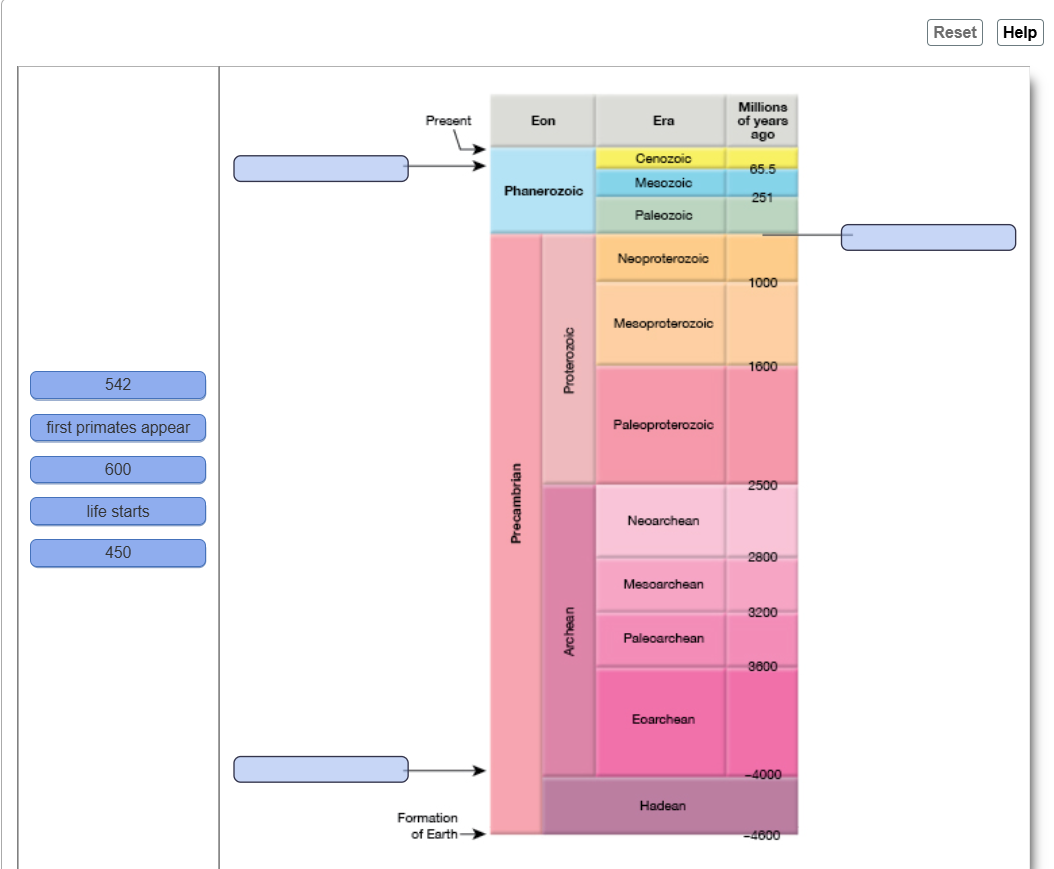 The image shows a geological timescale. The | StudyX