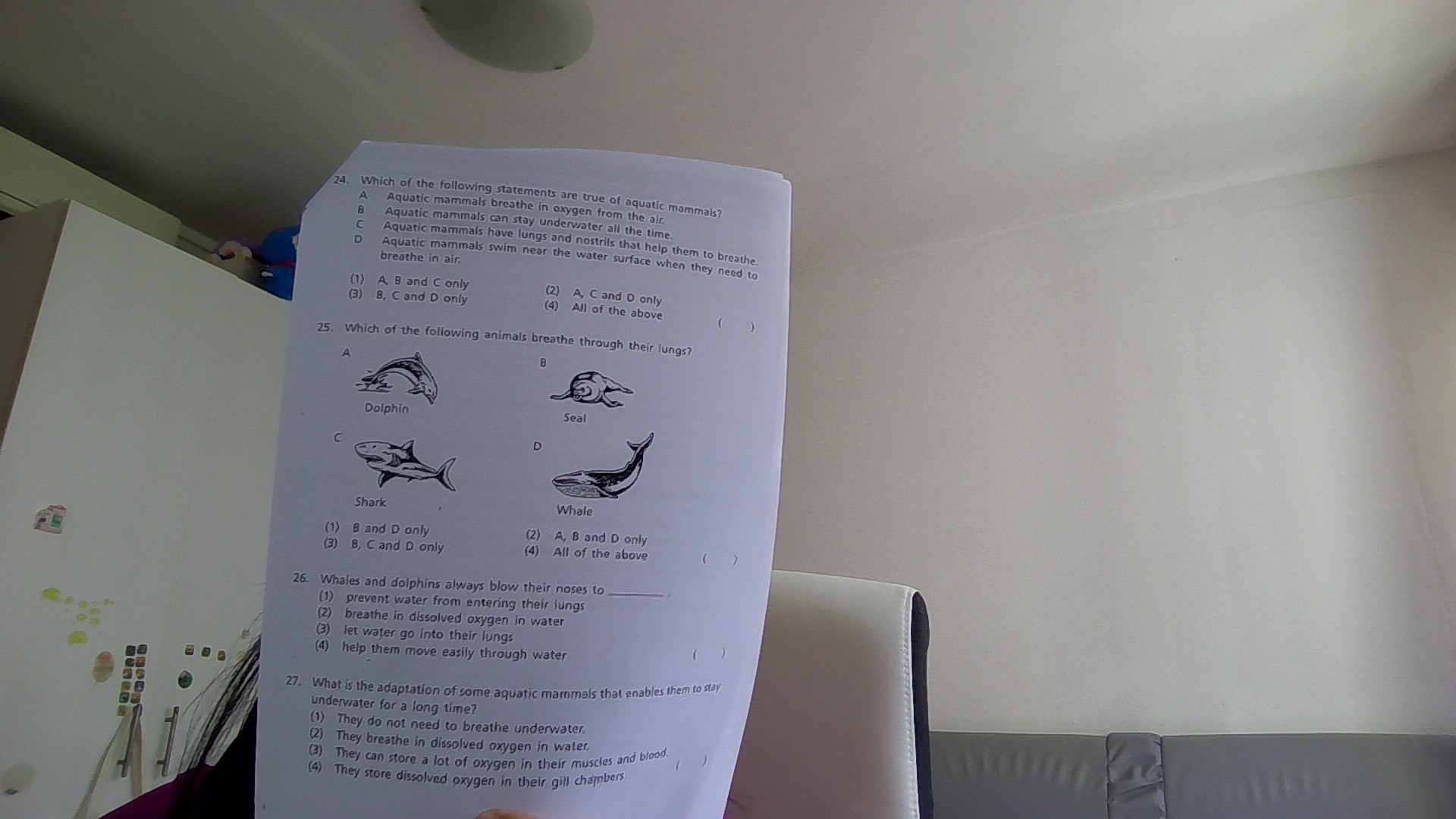 Which of the following statements are true | StudyX