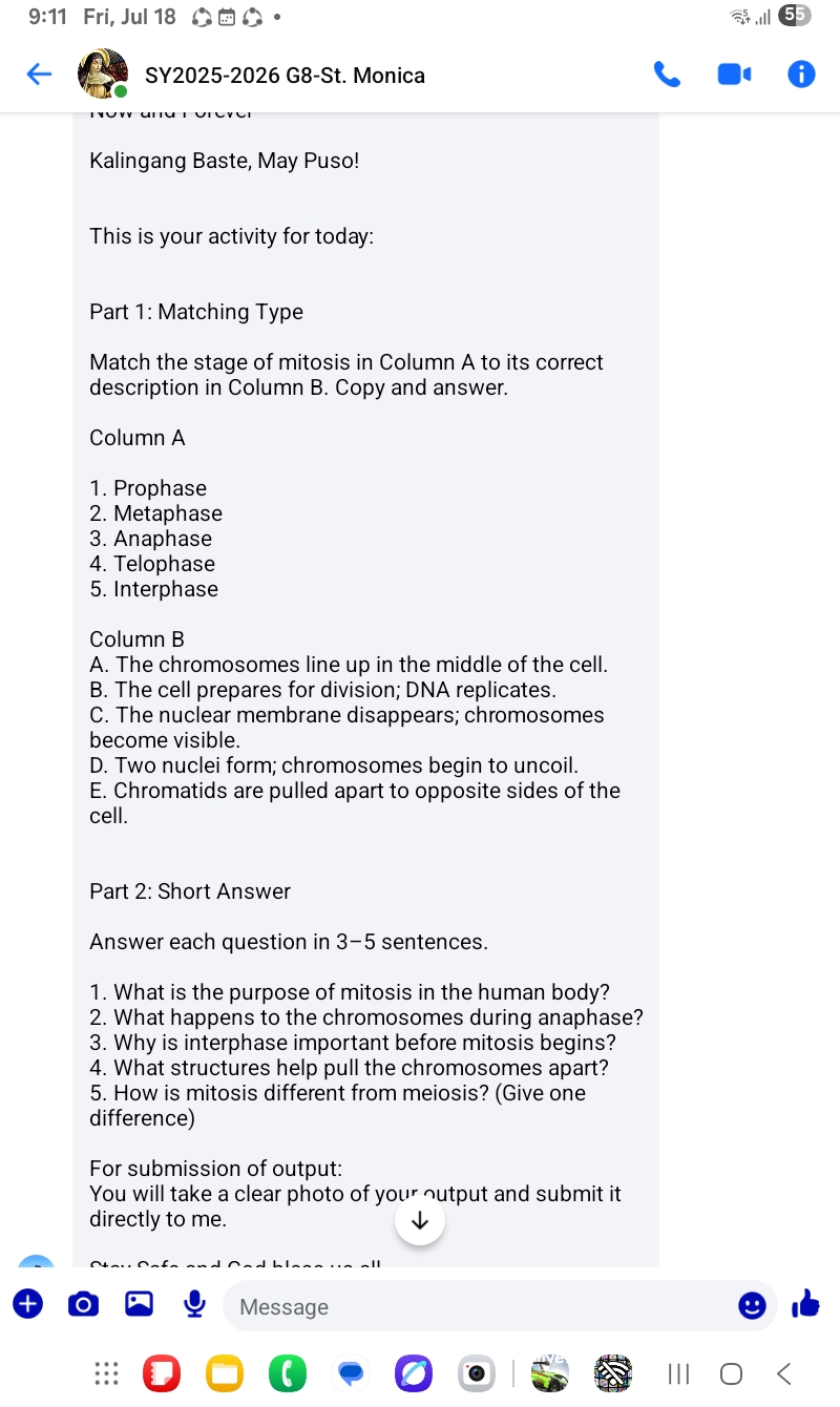 Part 1: Matching Type Match the stage of | StudyX