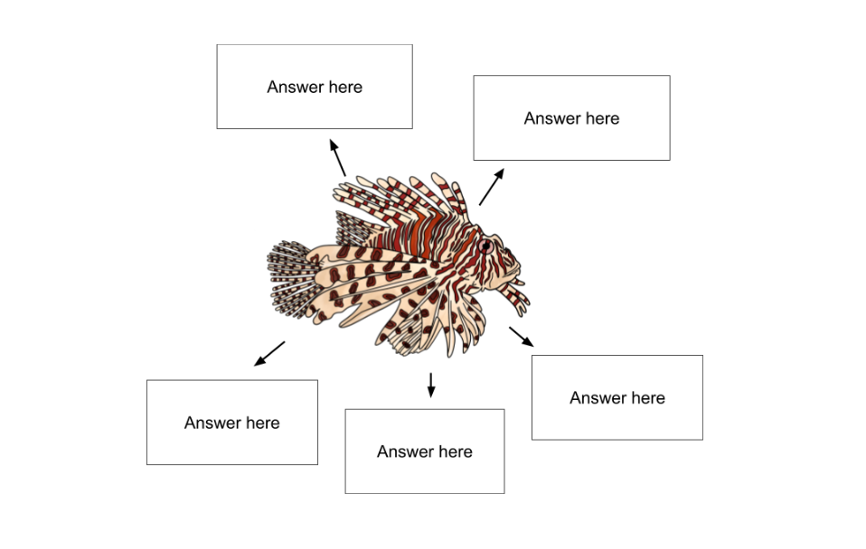 Part D - The ecological niche of the