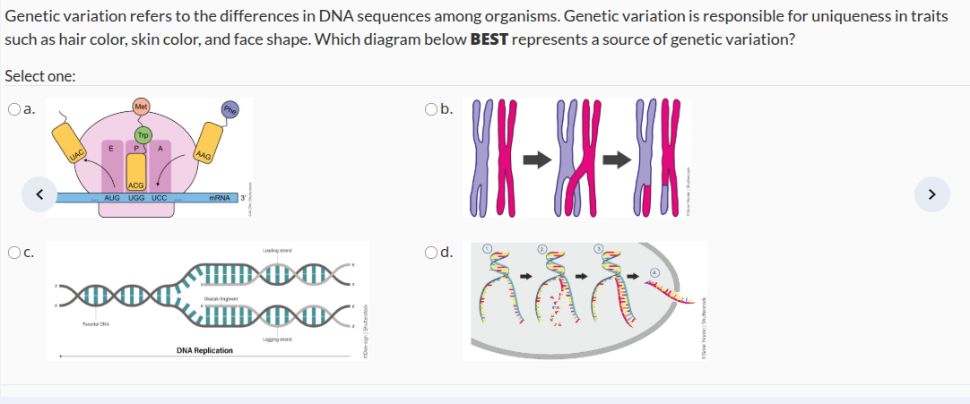 Genetic variation refers to the differences | StudyX