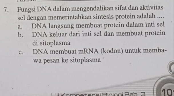 7 Fungsi DNA dalam mengendalikan sifat dan | StudyX