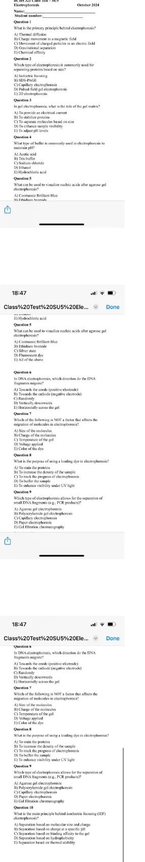 Question 1 What is the primary principle | StudyX