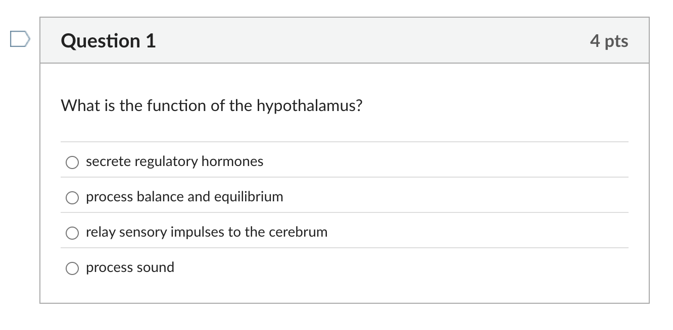 What is the function of the hypothalamus? | StudyX