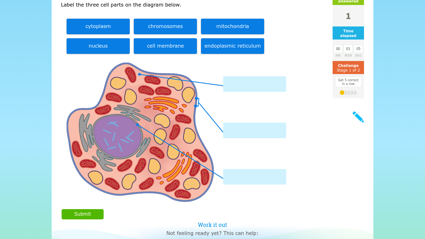 Label the three cell parts on the diagram