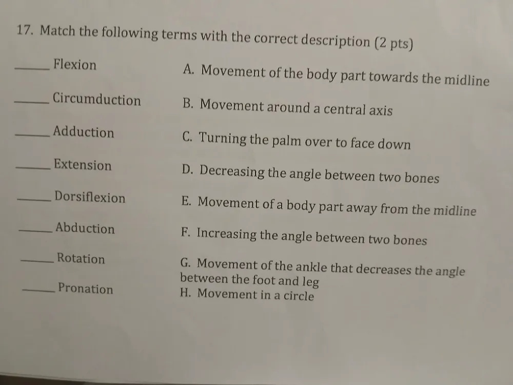 17. Match the following terms with the | StudyX