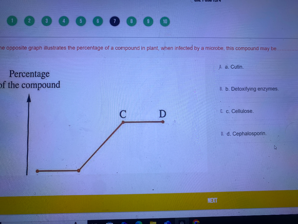 The opposite graph illustrates the | StudyX