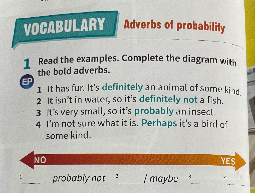 Read the examples. Complete the diagram with | StudyX