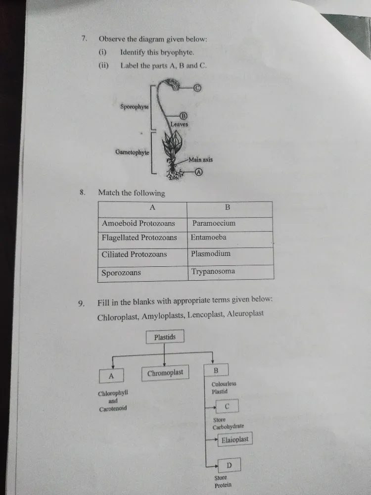 7. Observe the diagram given below: (i) | StudyX
