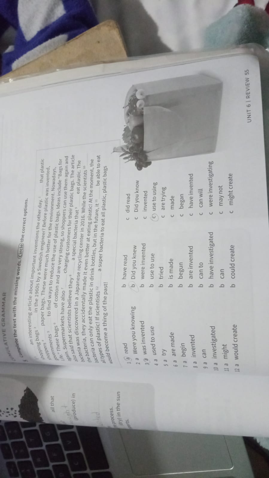 Complete the text with the missing words. | StudyX